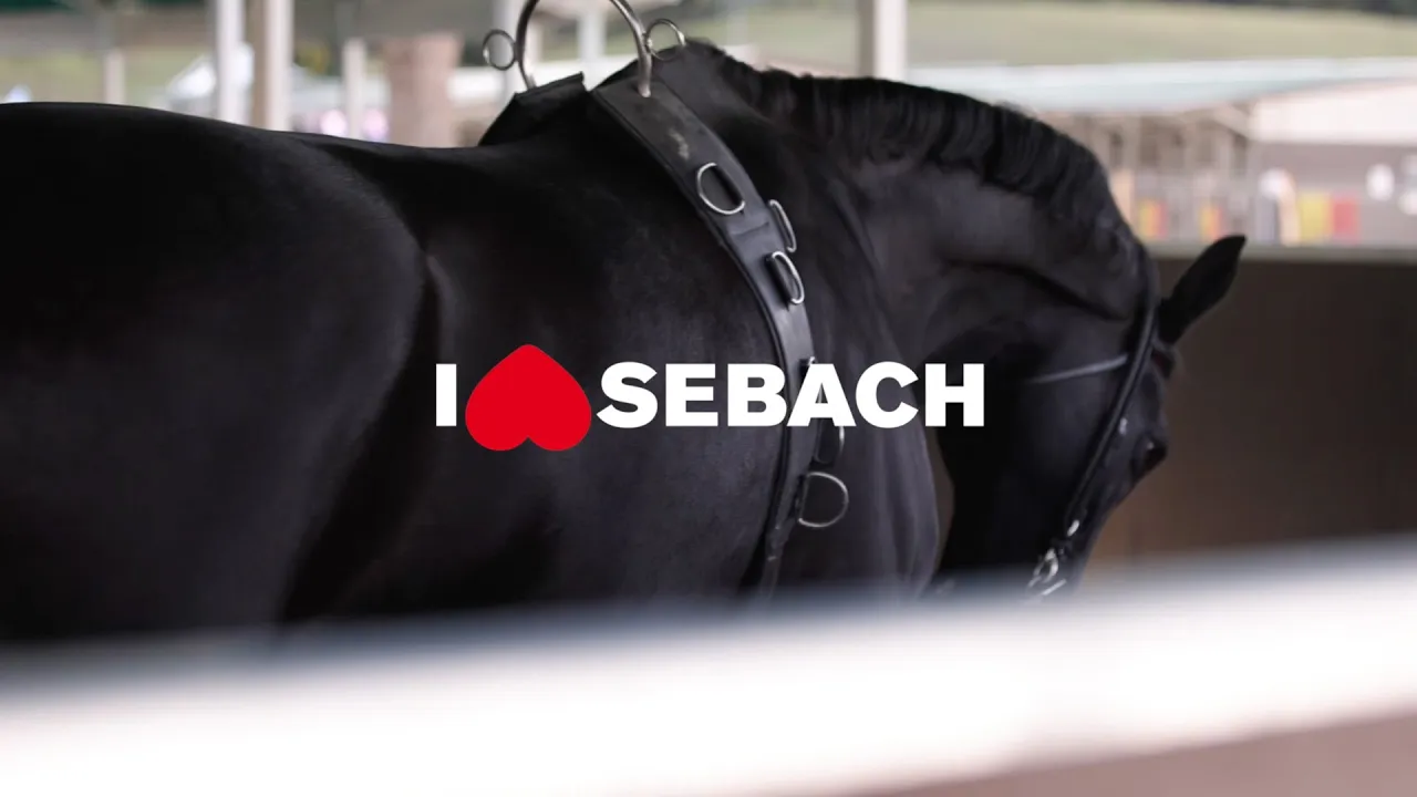 Sebach - Spot & Video - Sebach @ FEI World Championships 2022